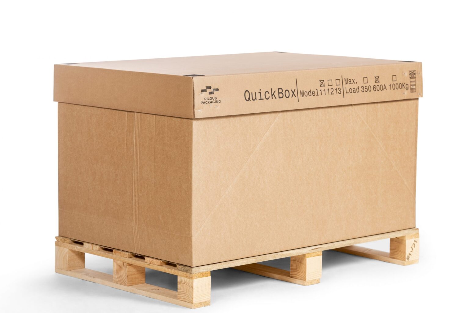 Einwegverpackungen Karton - PILOUS Packaging GmbH